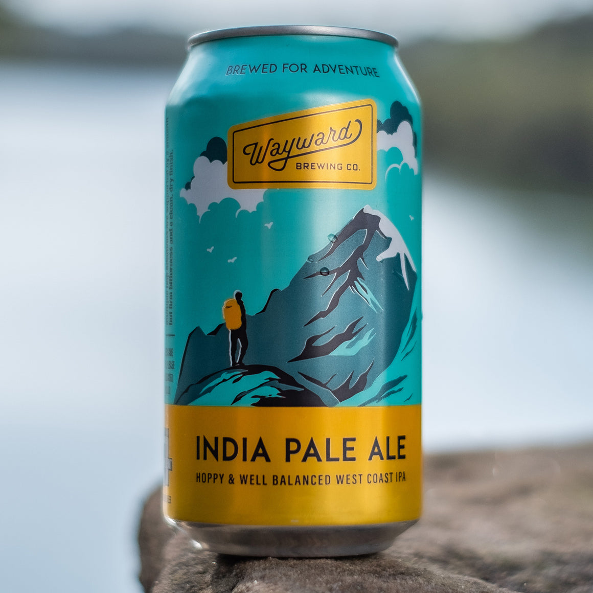 Wayward Brewing Co. Beers | Buy Online